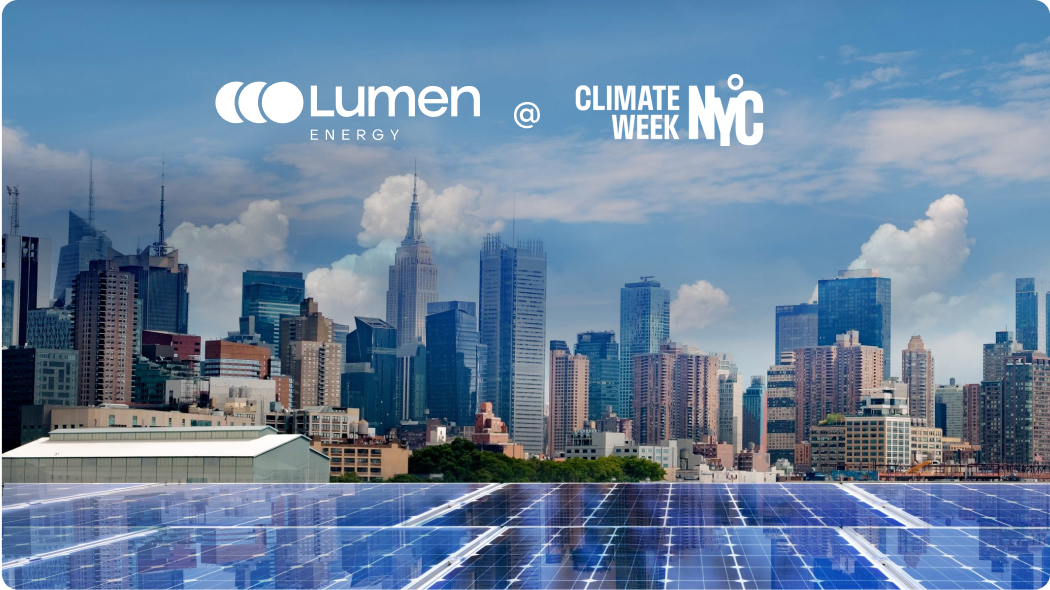 Profitable Net Zero | Lumen Energy